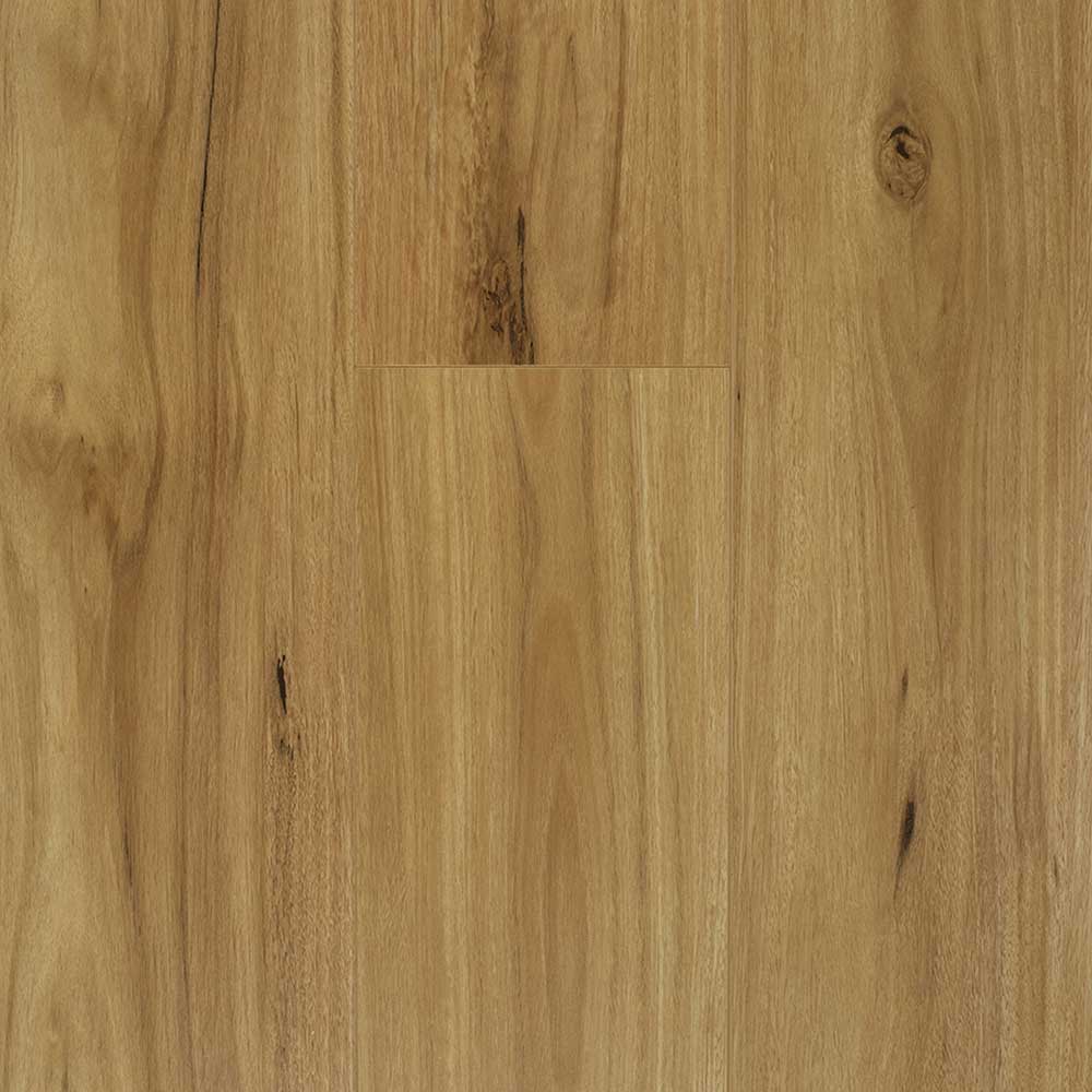 LAMINATE CLASSIC - BLACKBUTT – PRIMO WALK